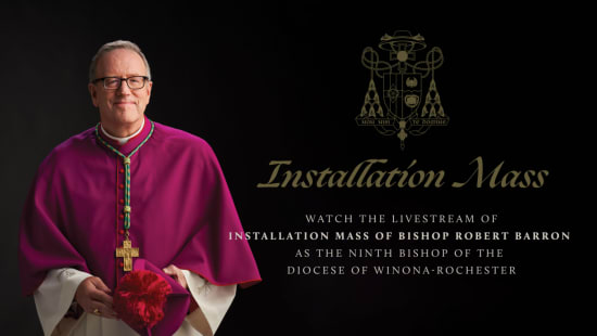 Bishop Barron's Installation Mass - Word on Fire